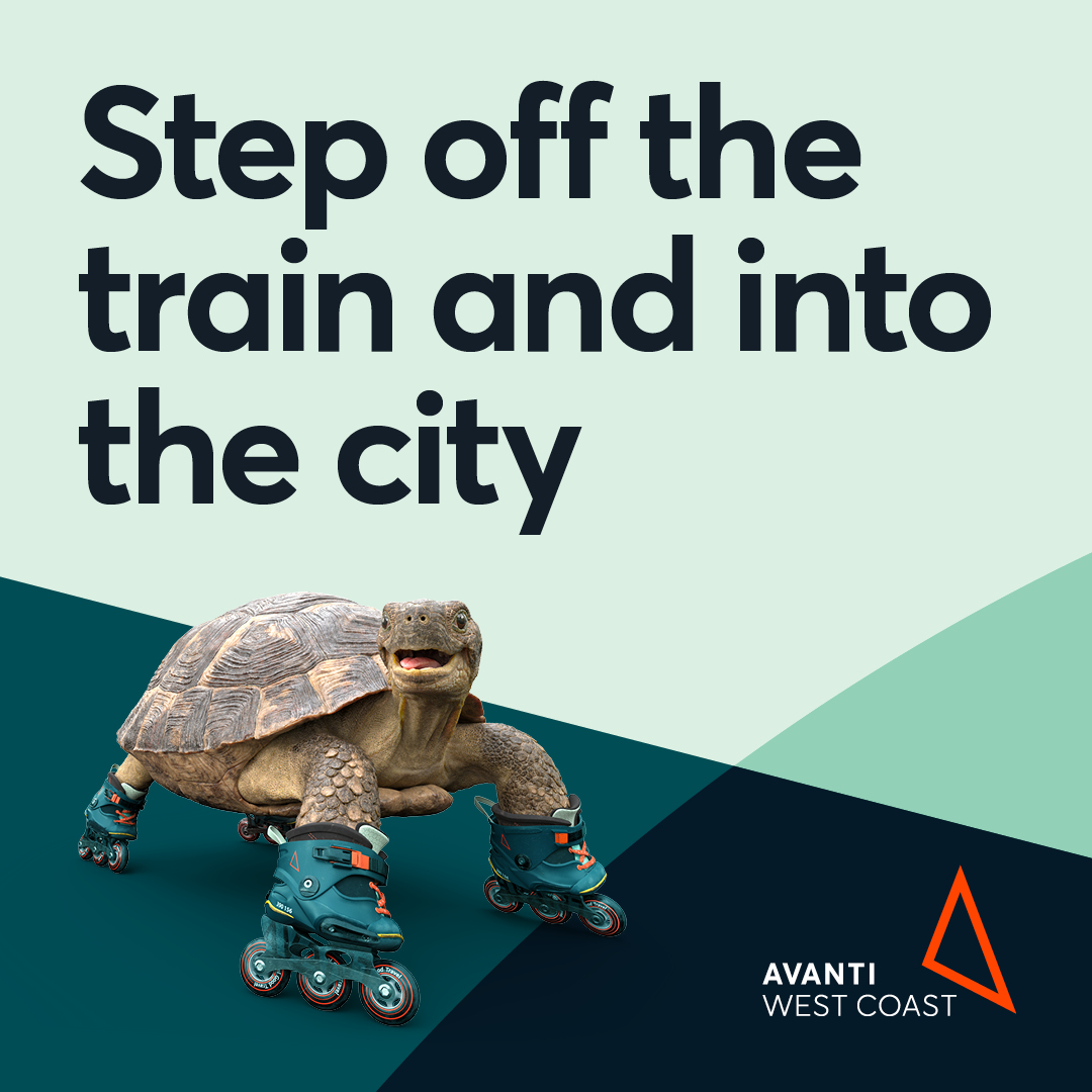 tortoise roller skates