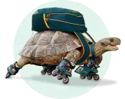 Trains to Chester Zoo | Avanti West Coast